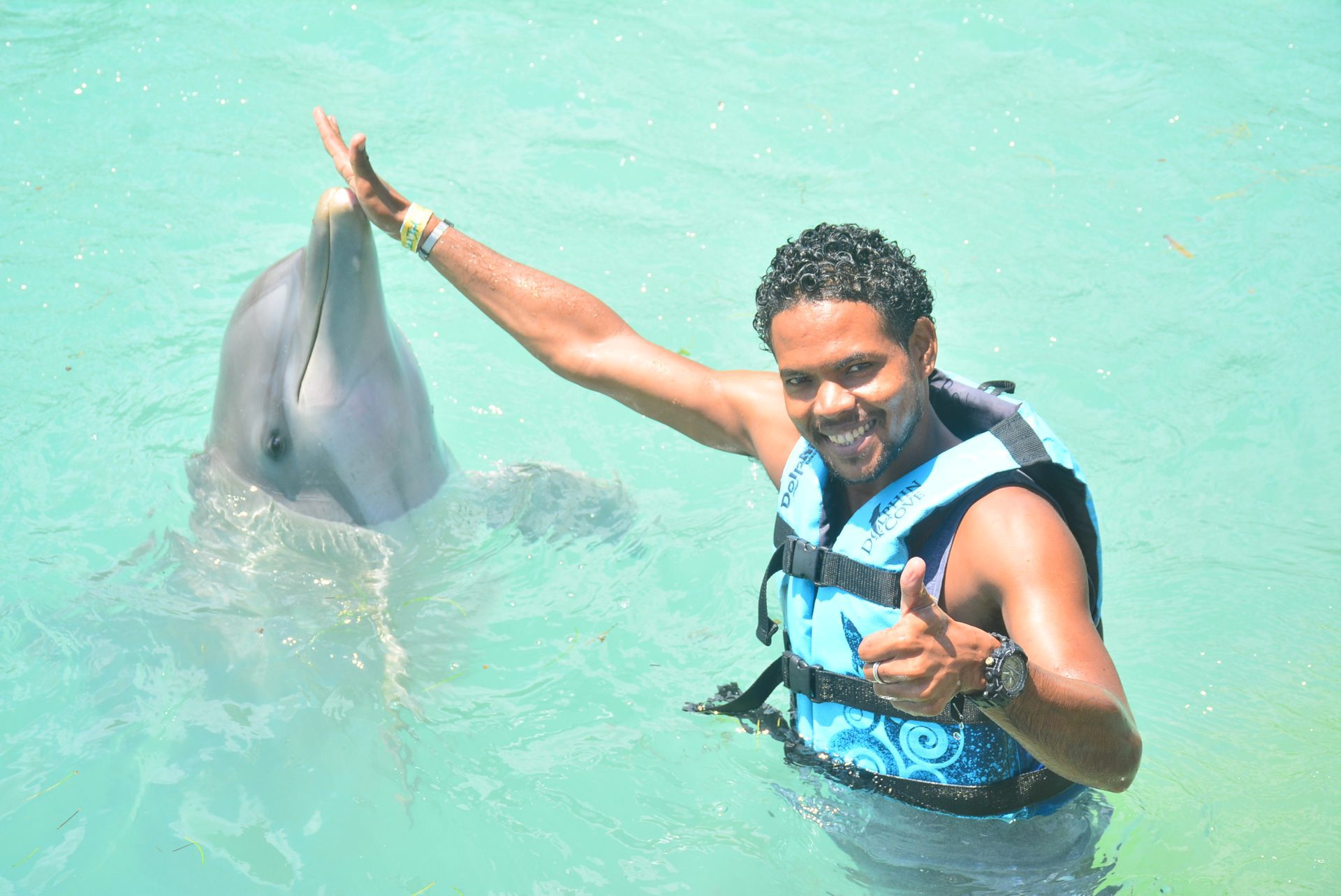 The Magic of Swimming with Dolphins: A Journey at Dolphin Cove Jamaica