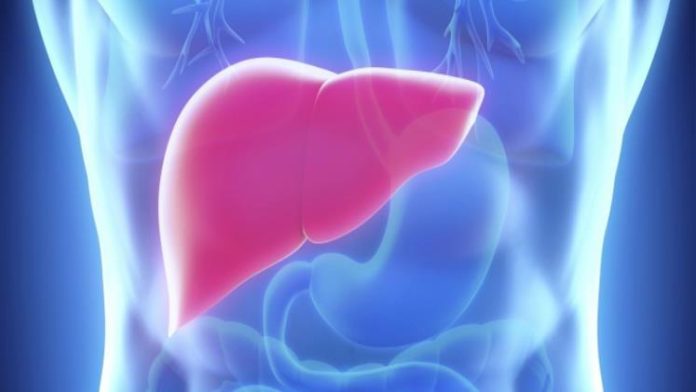 Camrelizumab: Unlocking the Power of Immunotherapy for Hepatocellular ...